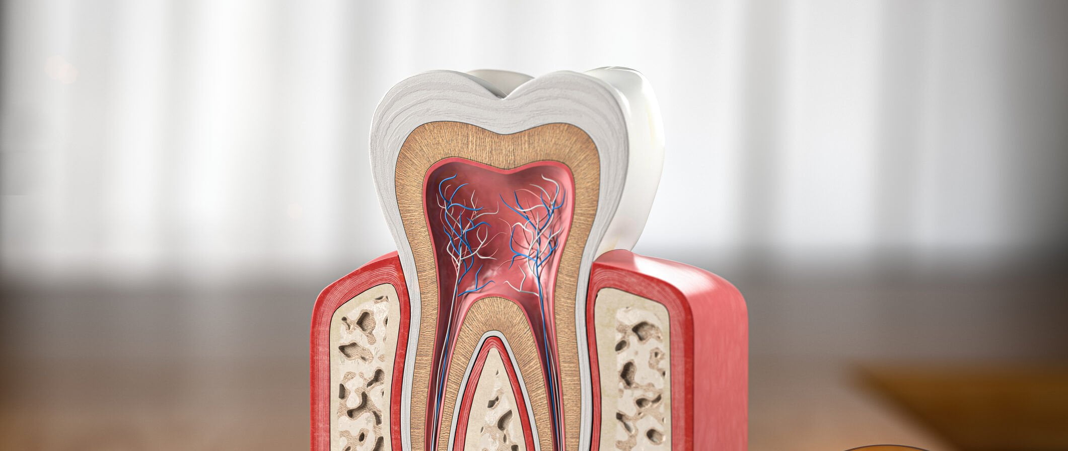 Tooth Enamel: The Mighty Guardian of Dental Health
