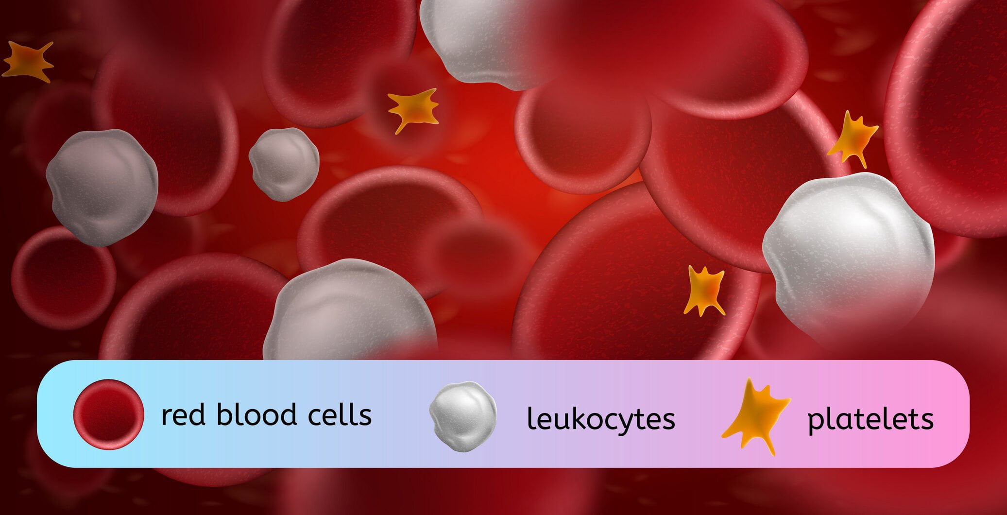 Blood Components: A Comprehensive Overview