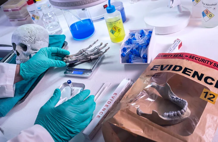 Forensic Dentistry: Unveiling the Truth Through Teeth